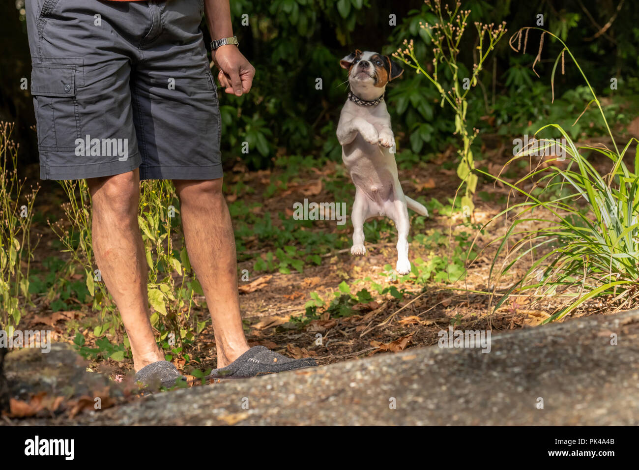 Jack lively hi-res stock photography and images - Alamy