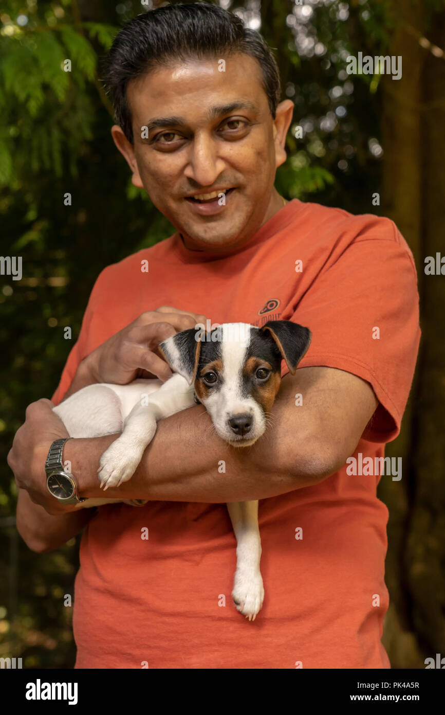Man holding his two month old Jack Russell Terrier "Harry". (PR) (MR ...