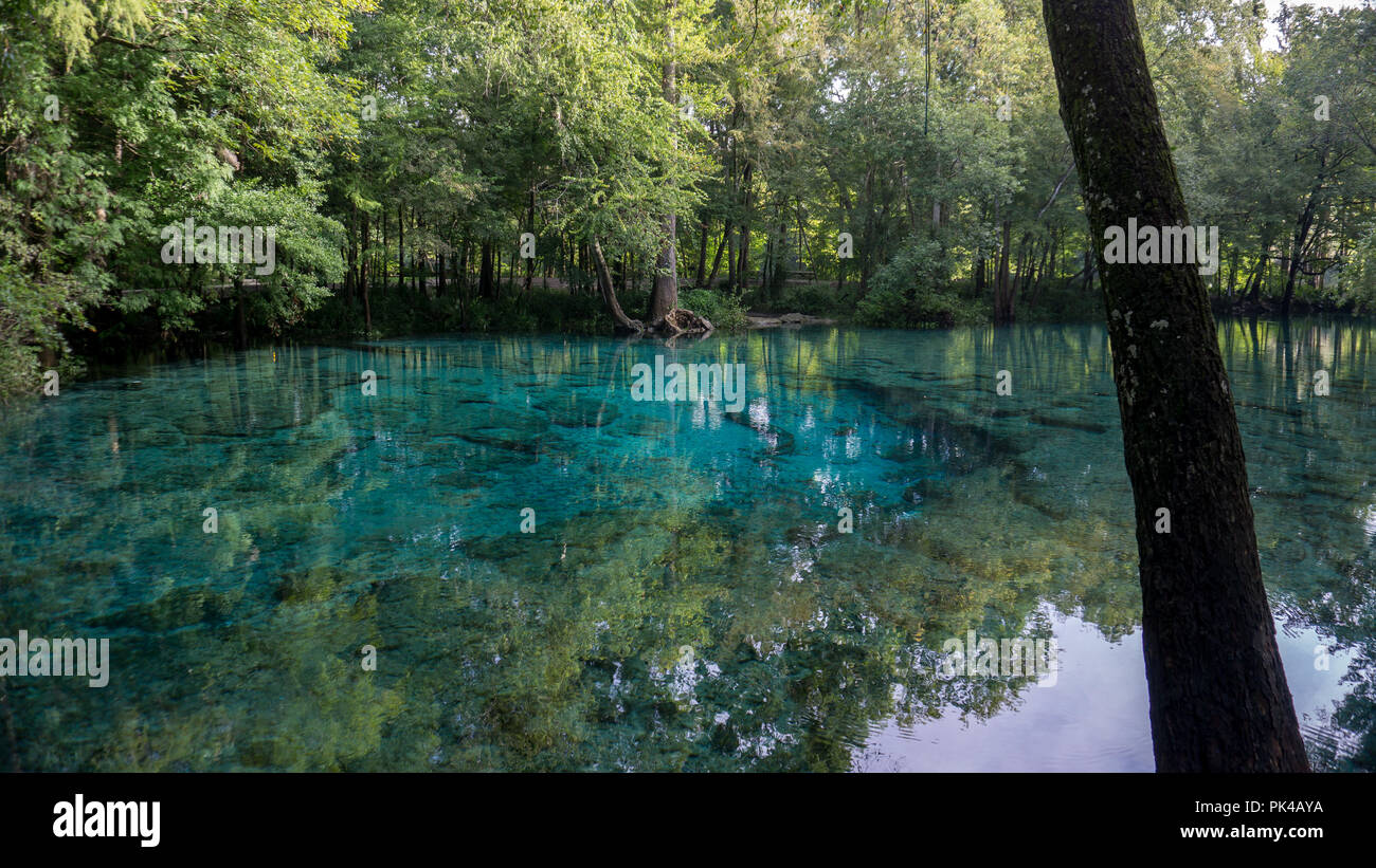 Ginnie springs hi-res stock photography and images - Alamy