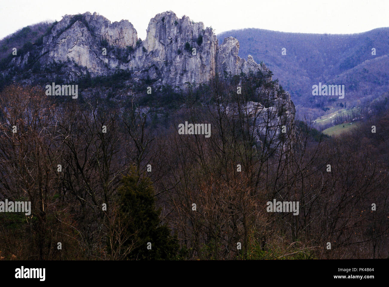 Seneca state forest west virginia hi-res stock photography and images ...