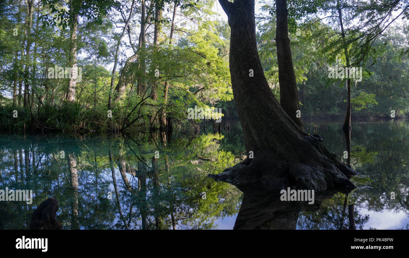 Florida springs hi-res stock photography and images - Alamy