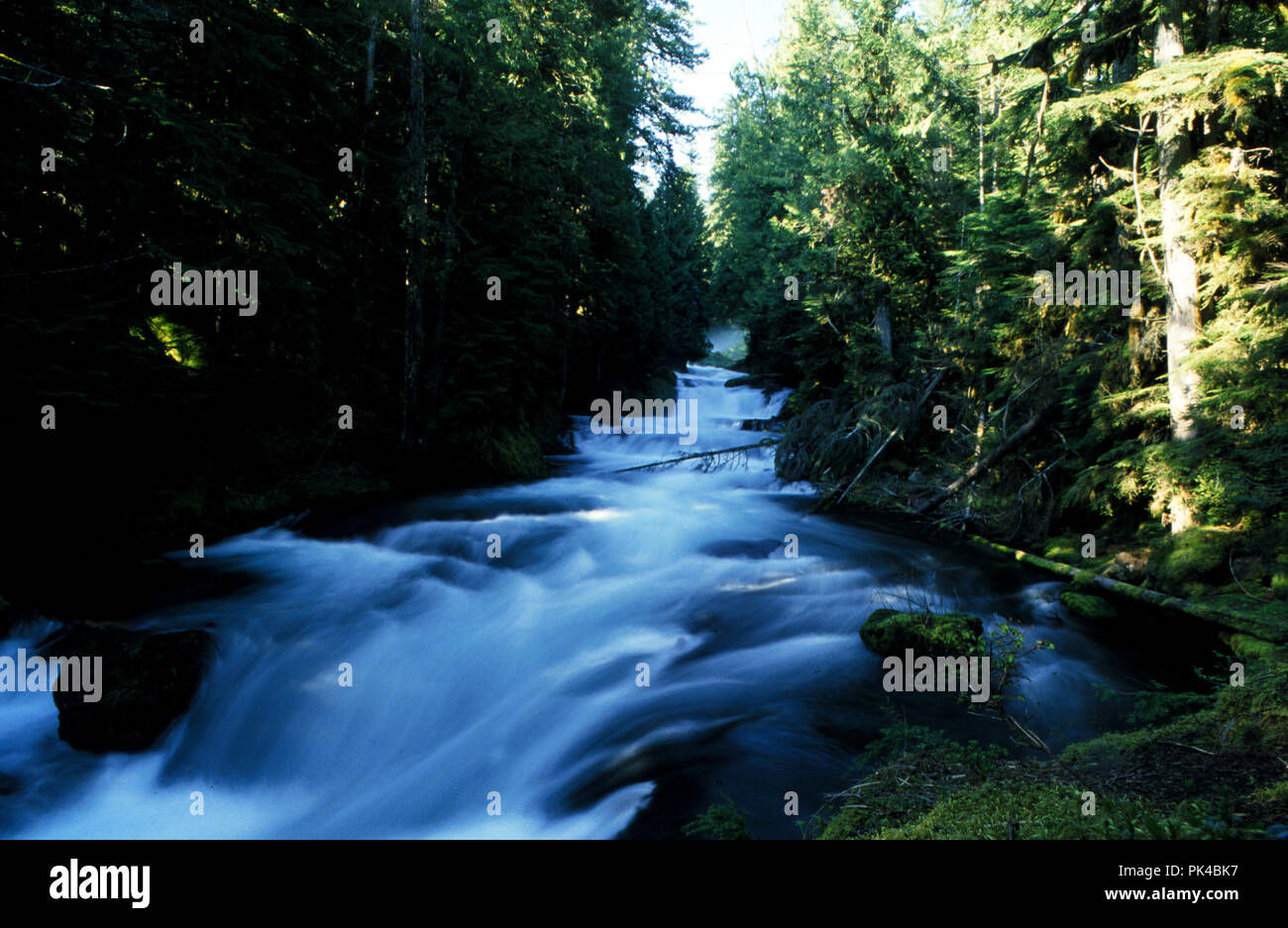 Cape perpetua oregon camping hi-res stock photography and images - Alamy