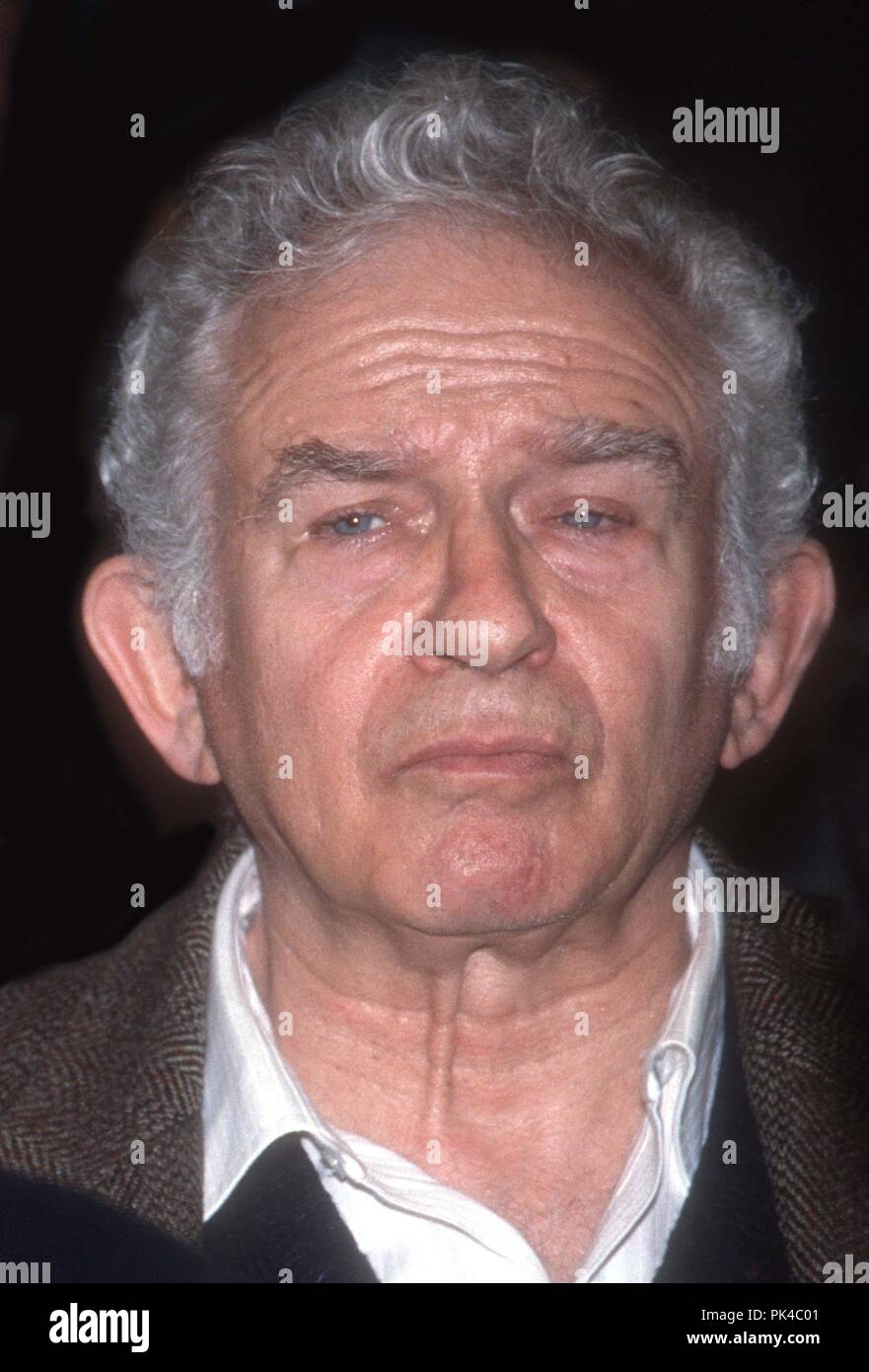 Norman Mailer 1989 Photo By Adam Scull/PHOTOlink.net Stock Photo - Alamy