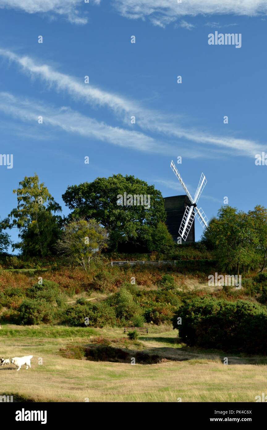 Reigate windmill hi-res stock photography and images - Alamy