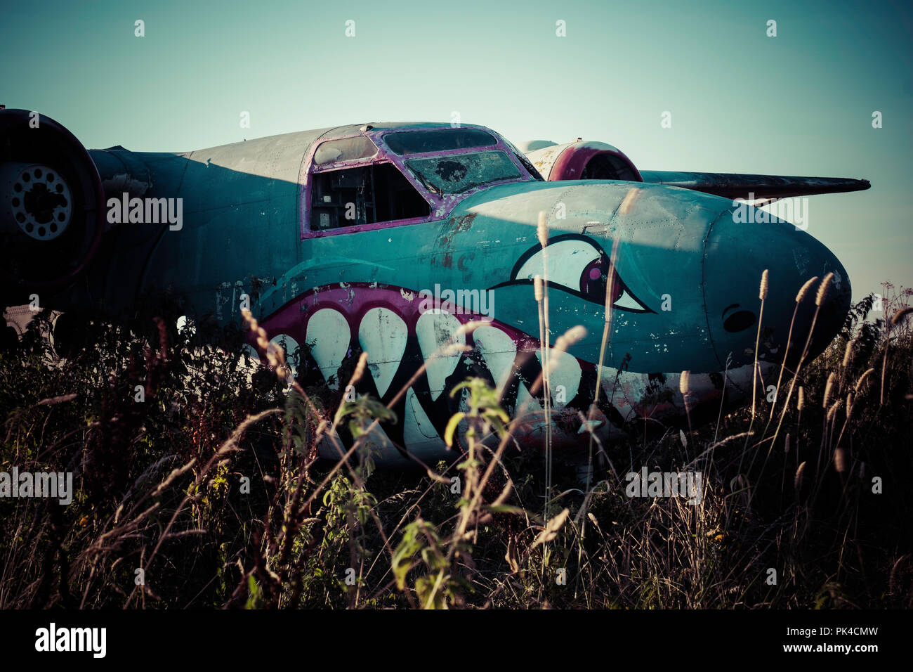 Ww2 abandoned plane hi-res stock photography and images - Alamy