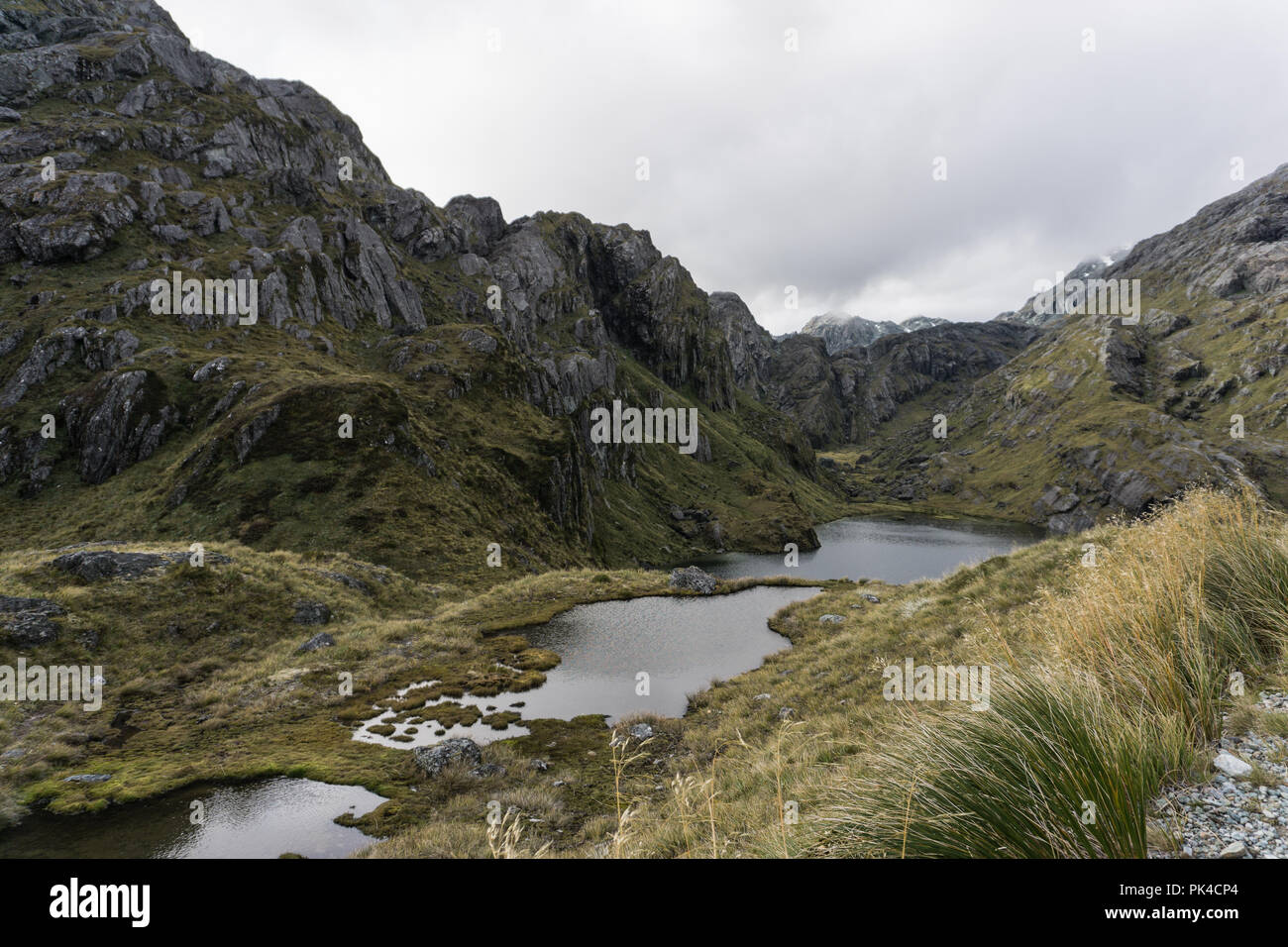 Harris saddle routeburn track hi-res stock photography and images - Alamy
