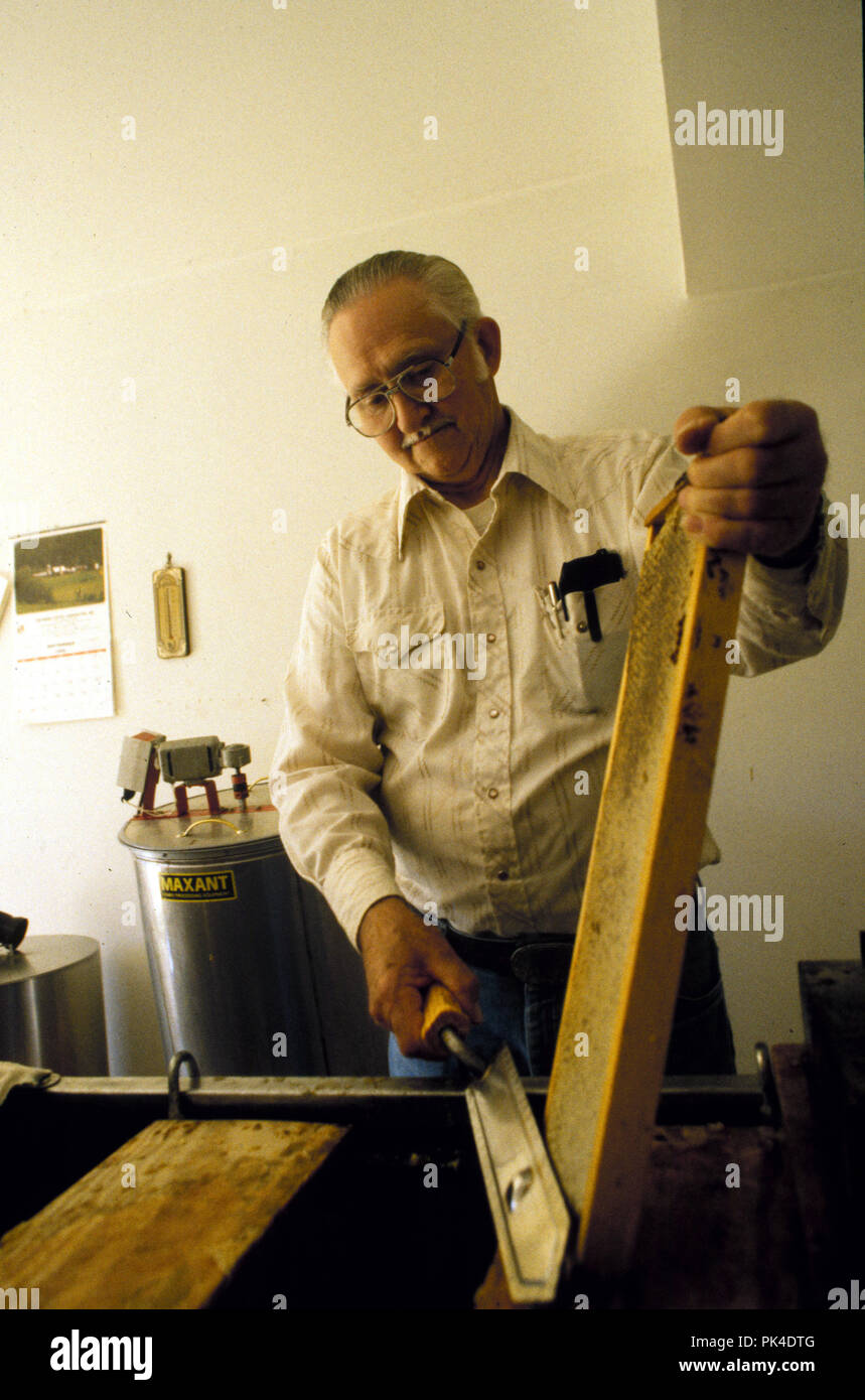 insects8/021202 -- Bee Keeping Stock Photo - Alamy