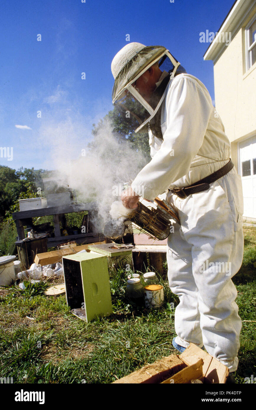 insects9/021202 -- Bee Keeping Stock Photo - Alamy