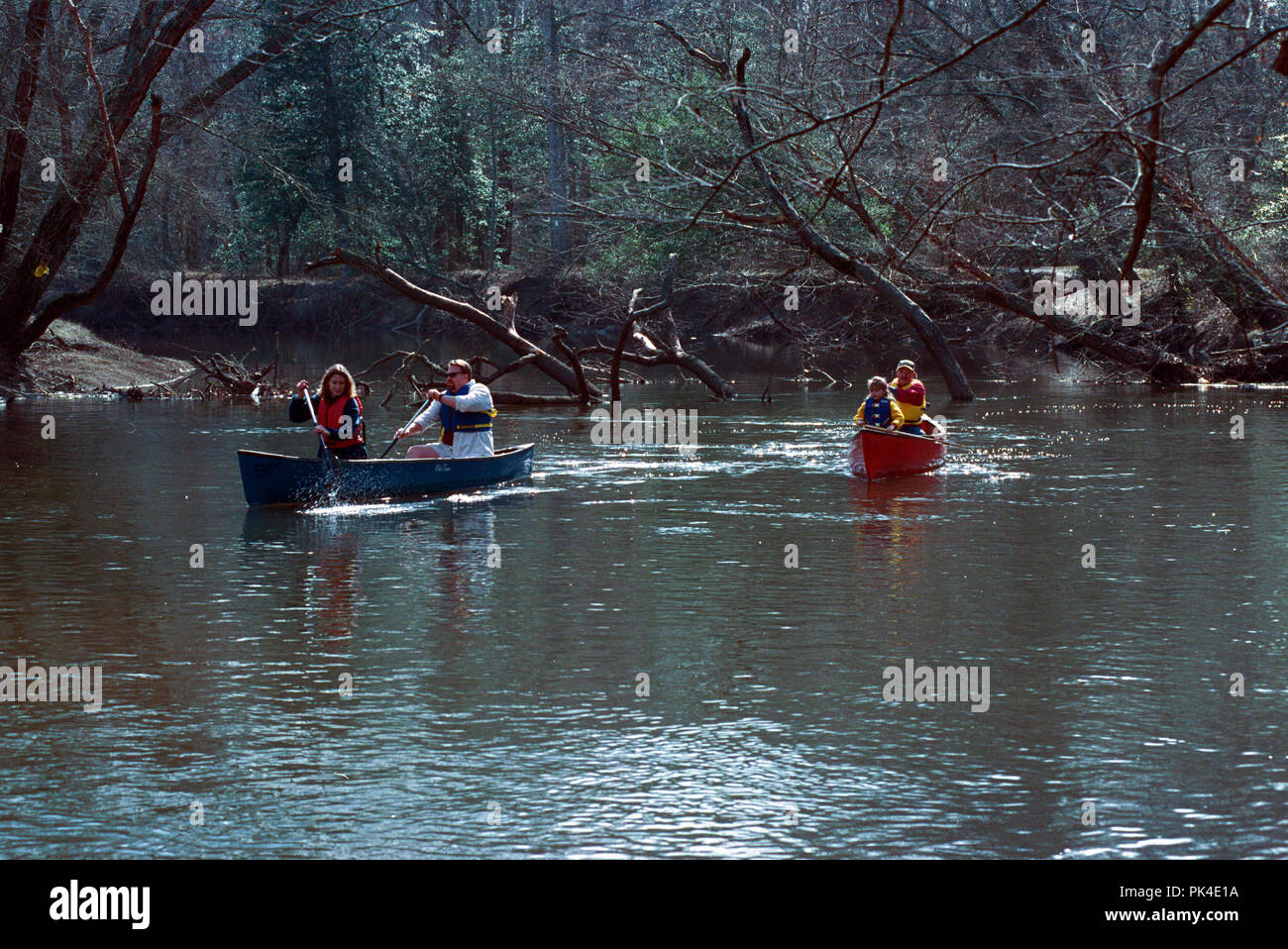 Mattaponi25/021402 -- Canoeing the upper Mattaponi River, just above ...