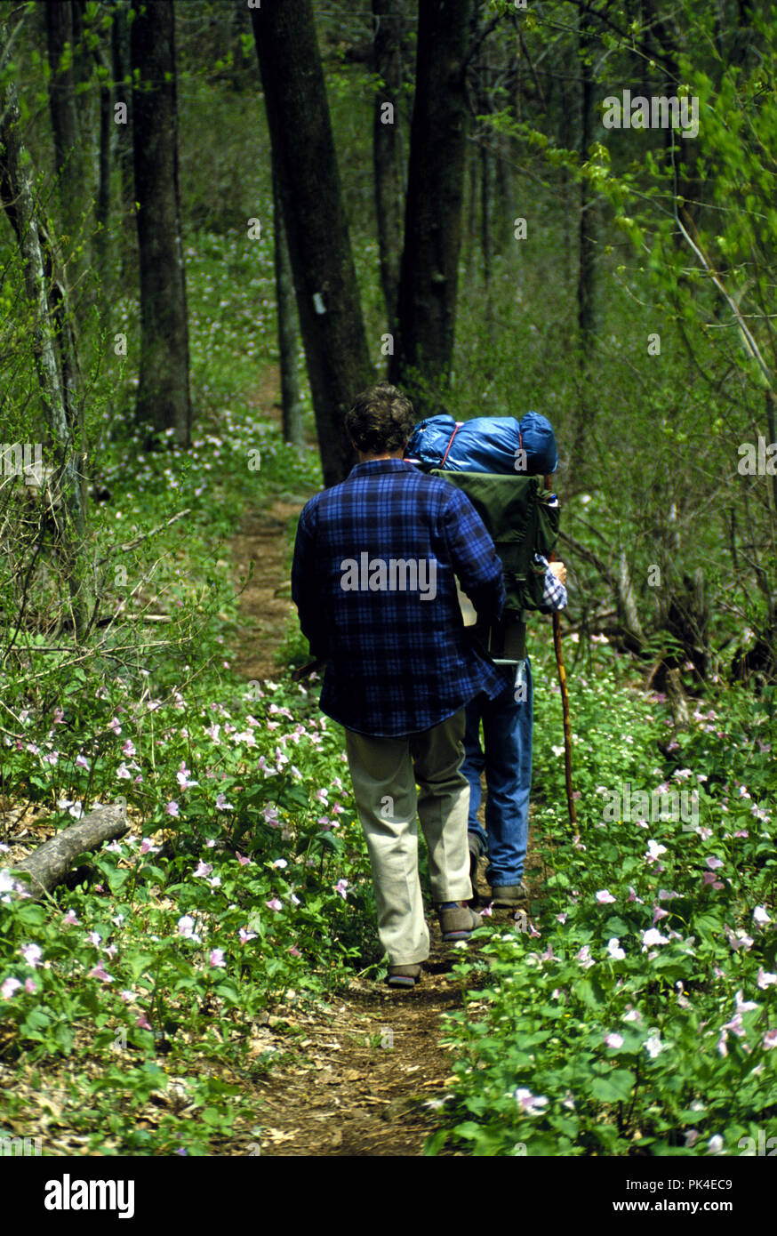 wildflower30/021402 -- Hikers walk through Large-flowered and Painted ...