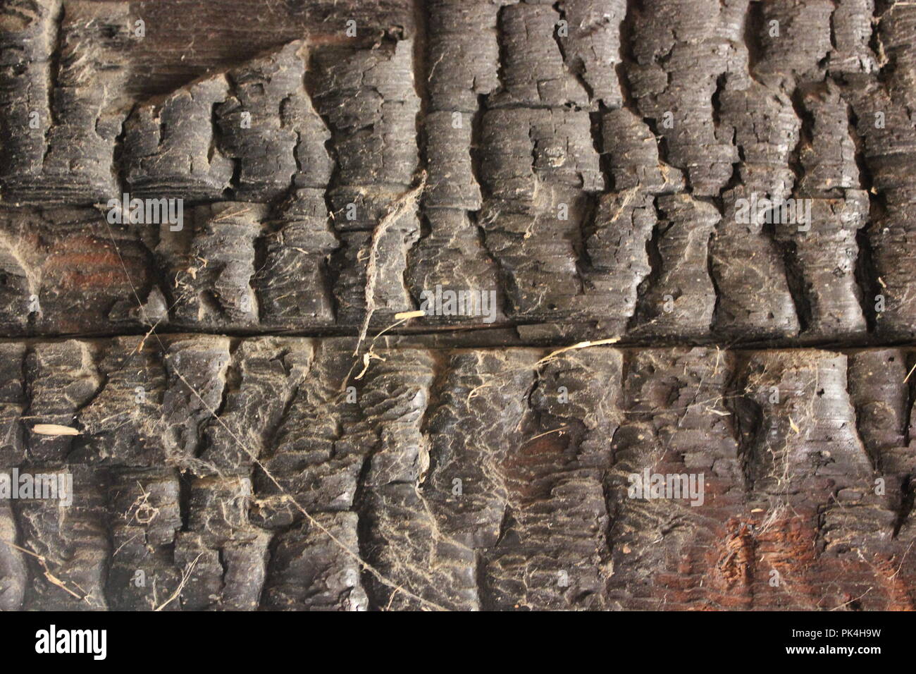 Burned and charred timber wood Stock Photo - Alamy