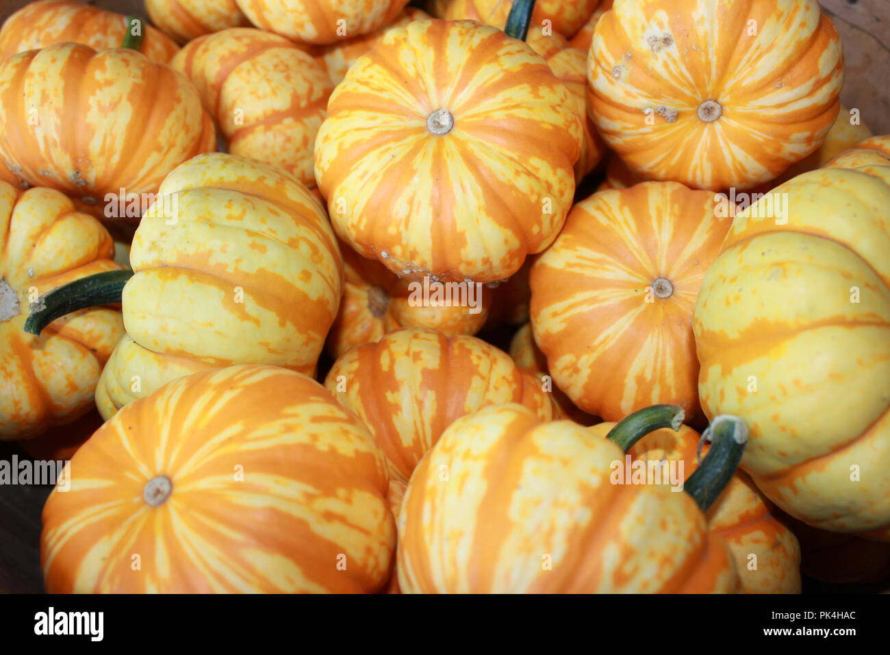 Farmers market icons hi-res stock photography and images - Alamy