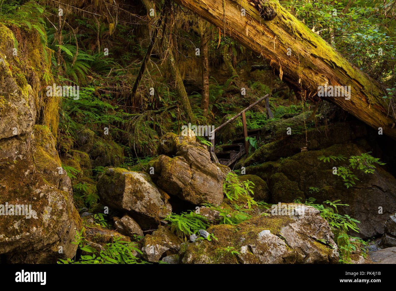 Huson Caves High Resolution Stock Photography and Images - Alamy