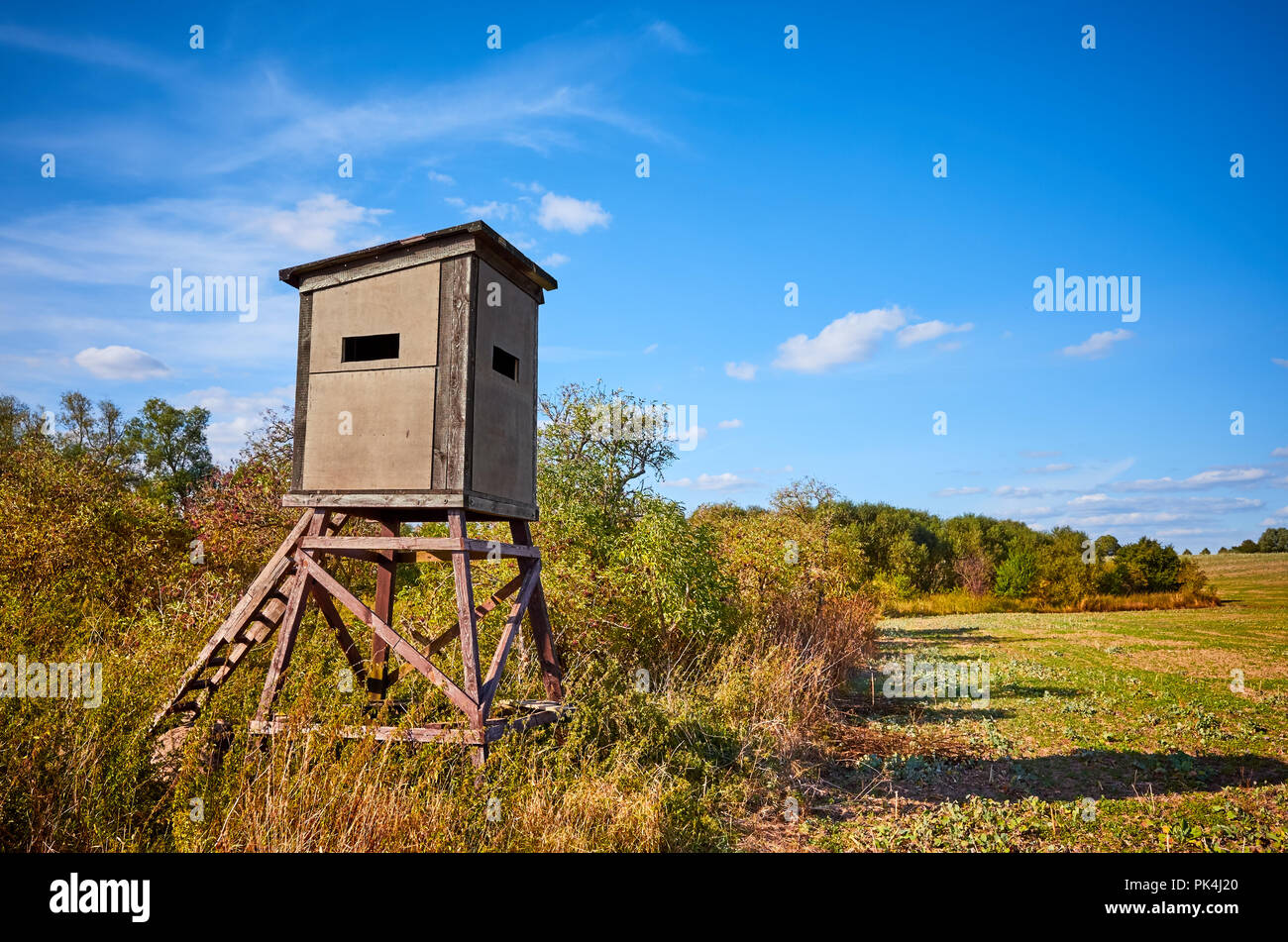 Wooden deer hunting pulpit in autumn Stock Photo - Alamy
