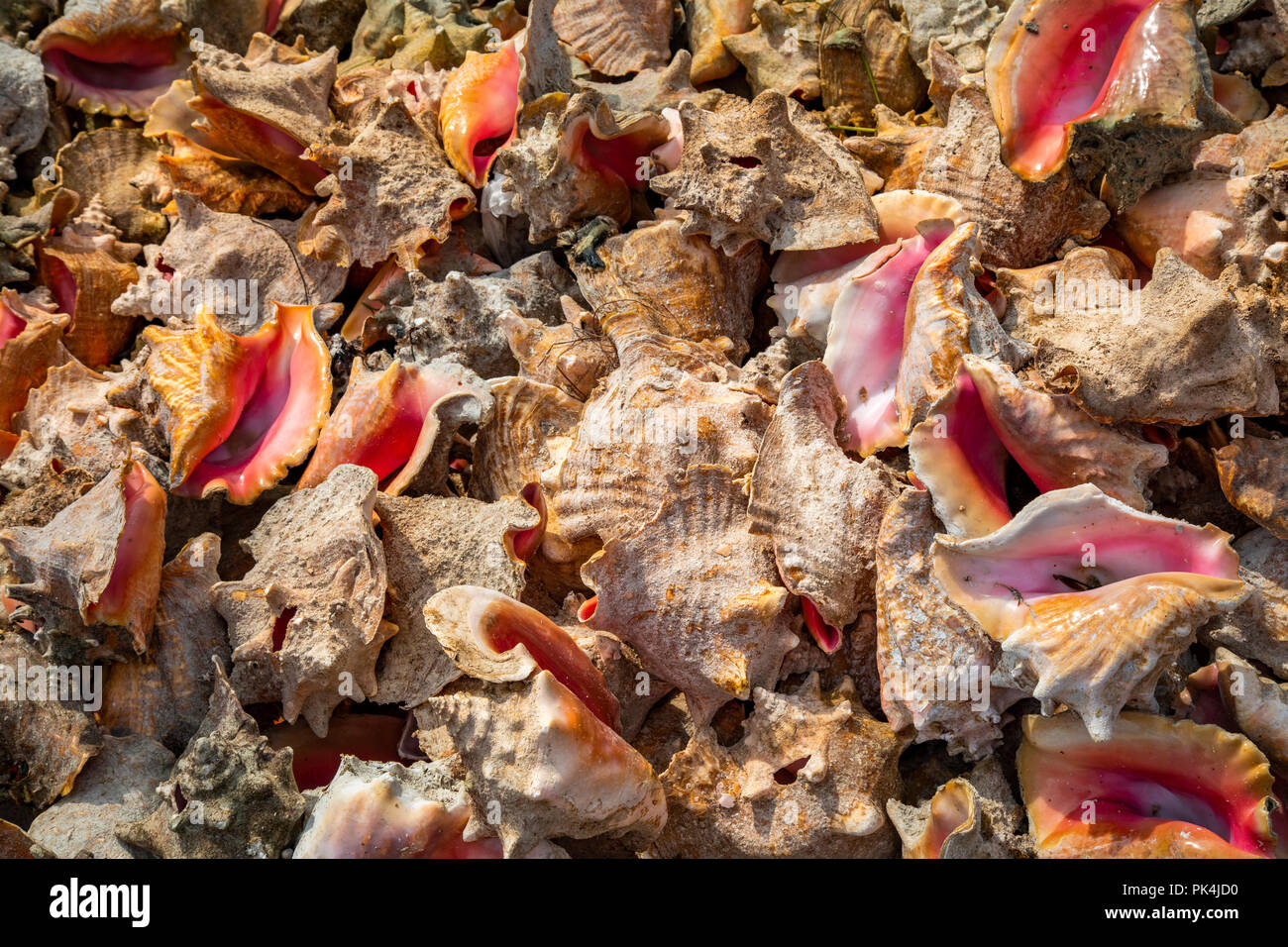 Cay large hi-res stock photography and images - Alamy