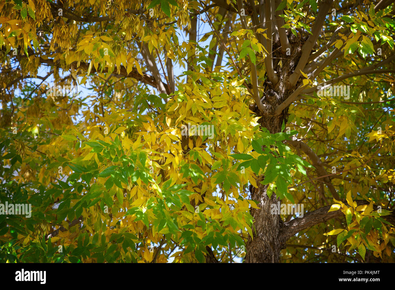 Nature catalog hi-res stock photography and images - Alamy