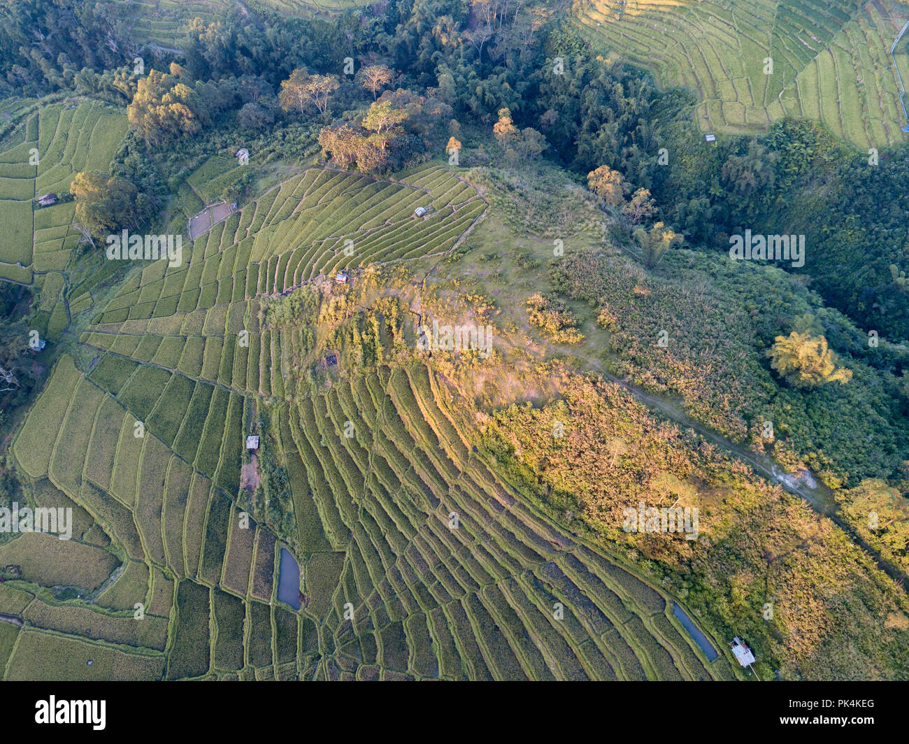 Aerial view of sunset light hitting rice terraces adjacent to the town ...