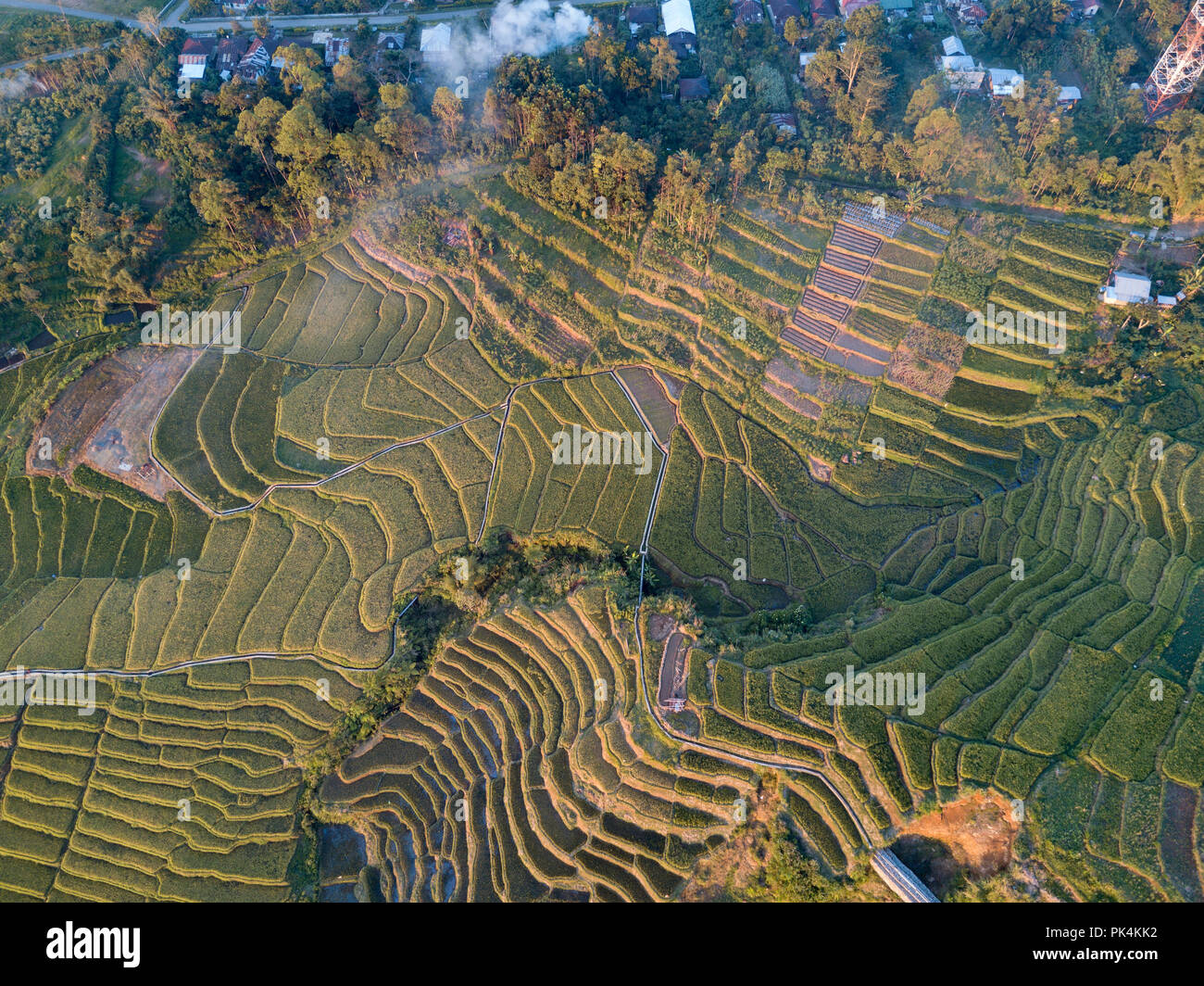 Aerial view of rice terraces at sunset in Ruteng, East Nusa Tenggara ...