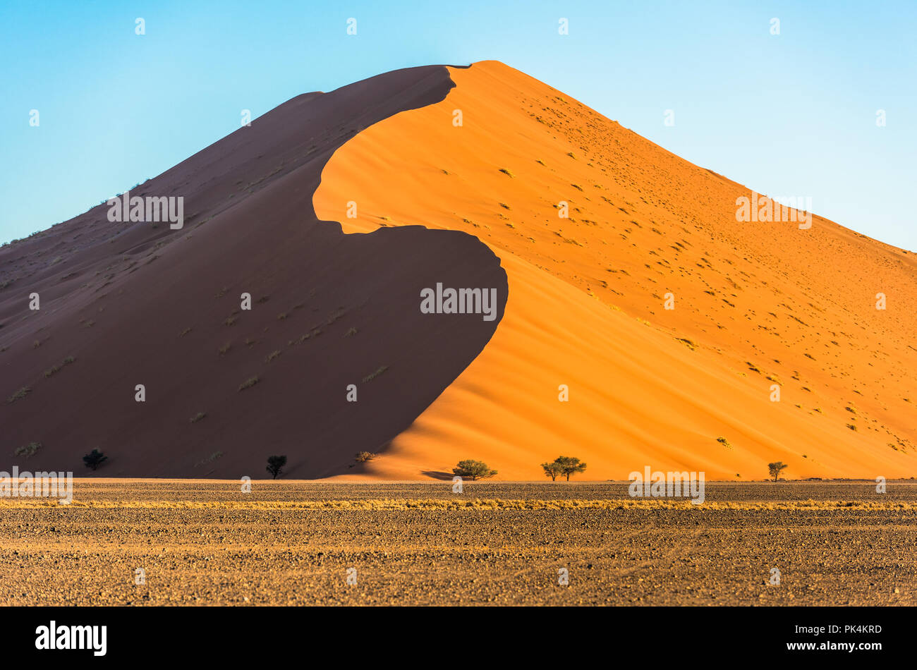 Red dunes in Sossusvlei, Namib-Naukluft National Park, Namibia Stock ...