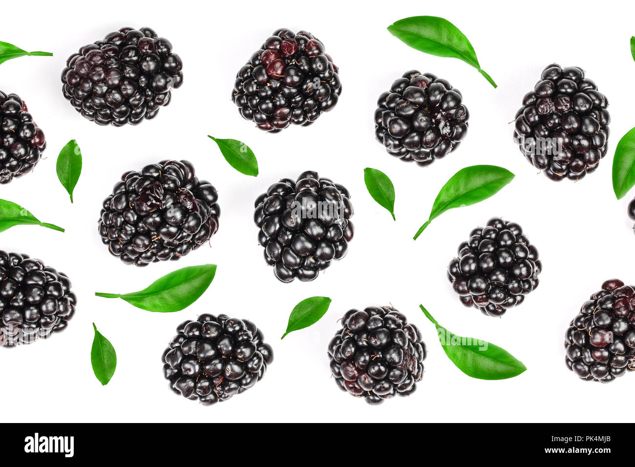 Fresh blackberry isolated on white background with copy space for your ...