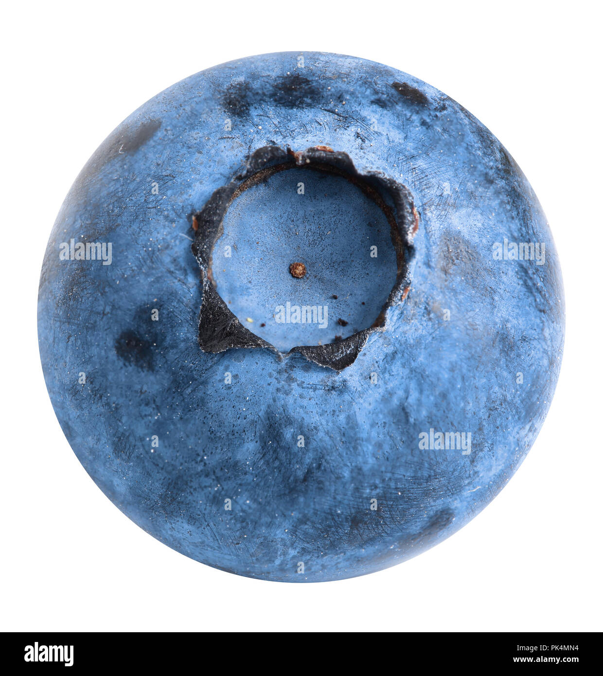 Single fresh blueberry isolated on white background Stock Photo - Alamy Single fresh blueberry isolated on white background Stock Photo - Alamy