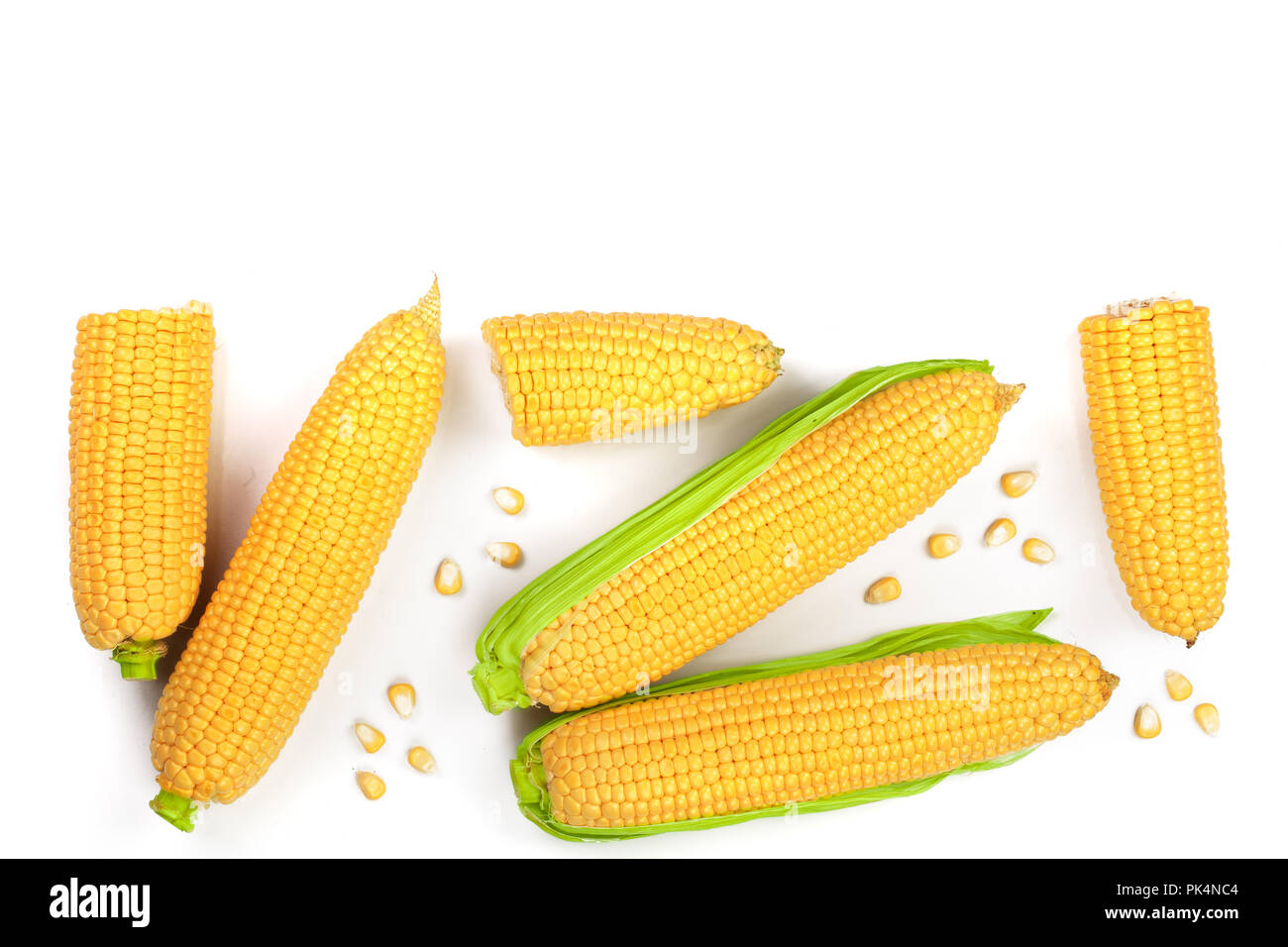 ear of corn isolated on a white background with copy space for your ...