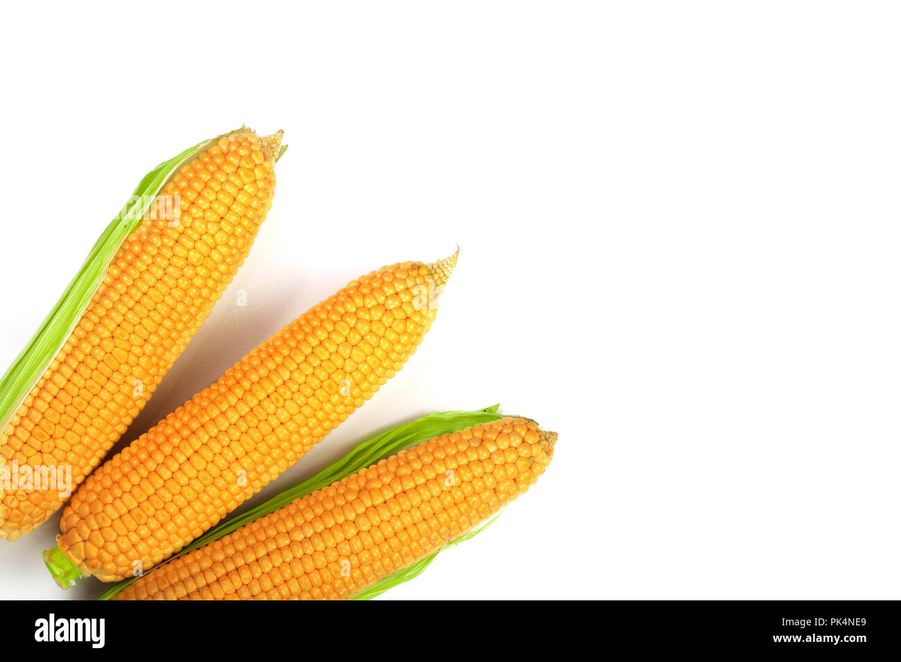 ear of corn isolated on a white background with copy space for your ...