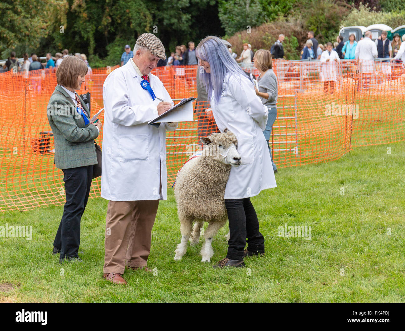 Findon uk hi-res stock photography and images - Alamy