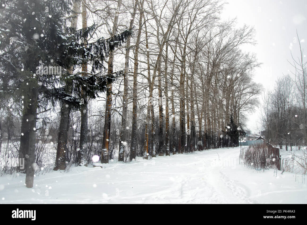 winter snow rustic road Stock Photo - Alamy