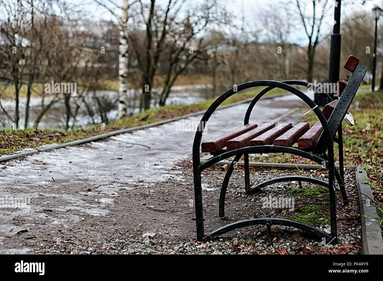 bench in the city in spring Stock Photo - Alamy