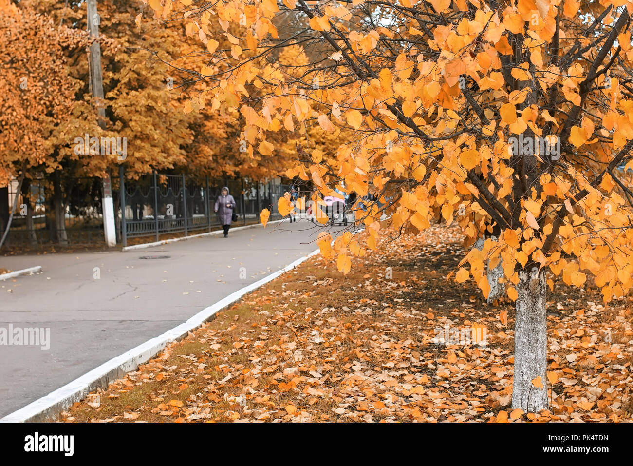 Children on the street play Stock Photo - Alamy