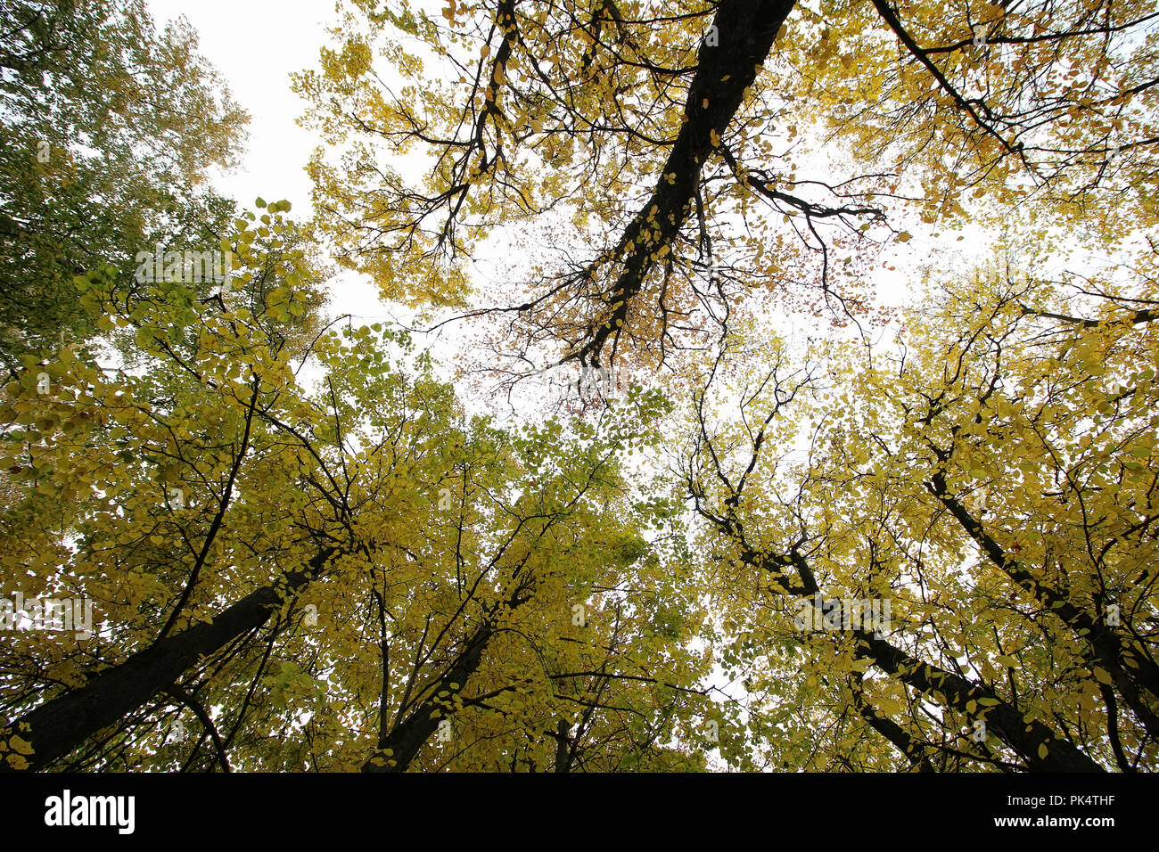 Children on the street play Stock Photo - Alamy