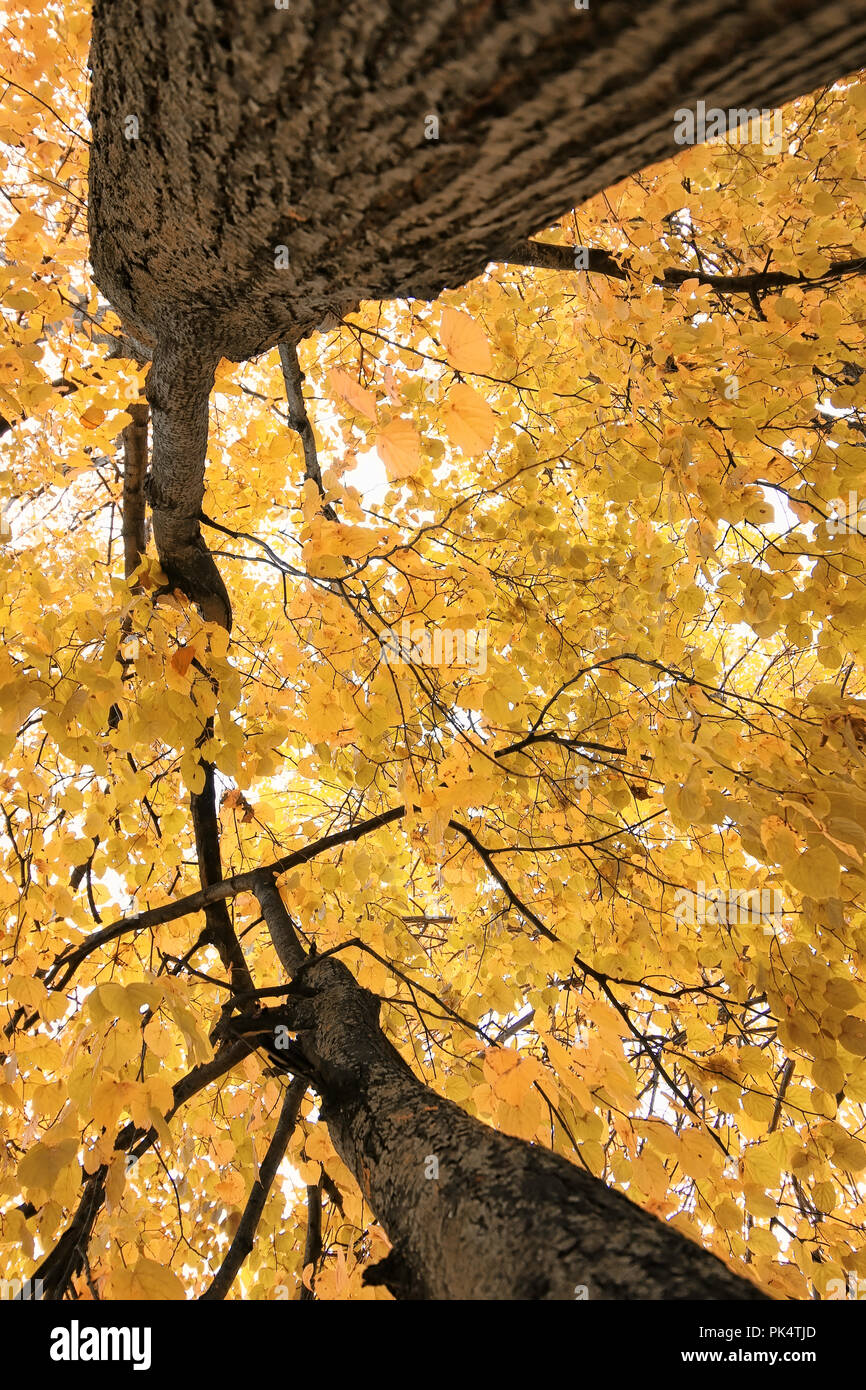 Children on the street play Stock Photo - Alamy