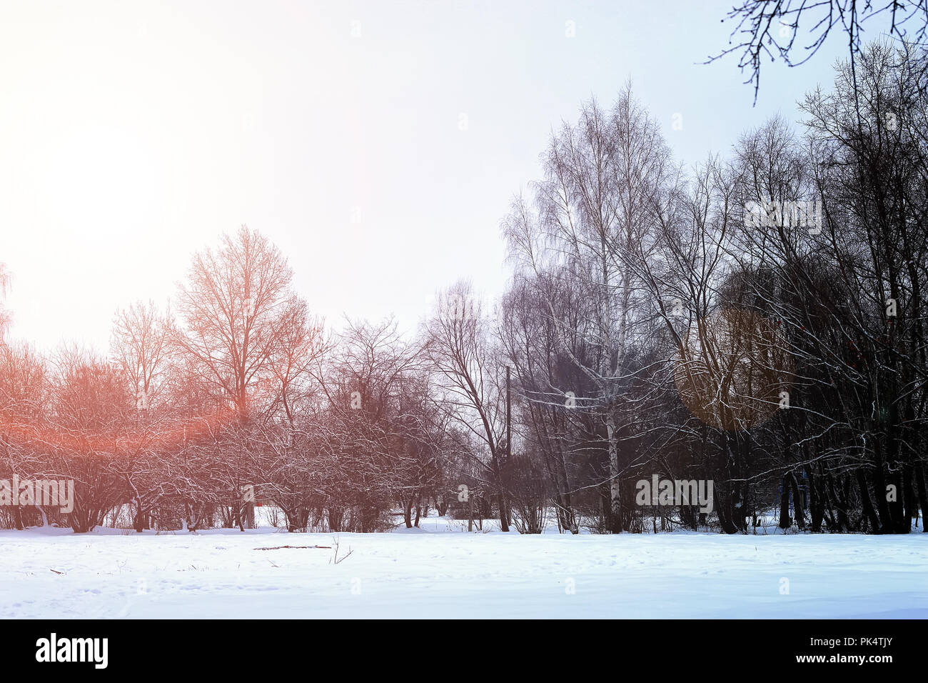 sunrise landscape winter park trees Stock Photo - Alamy