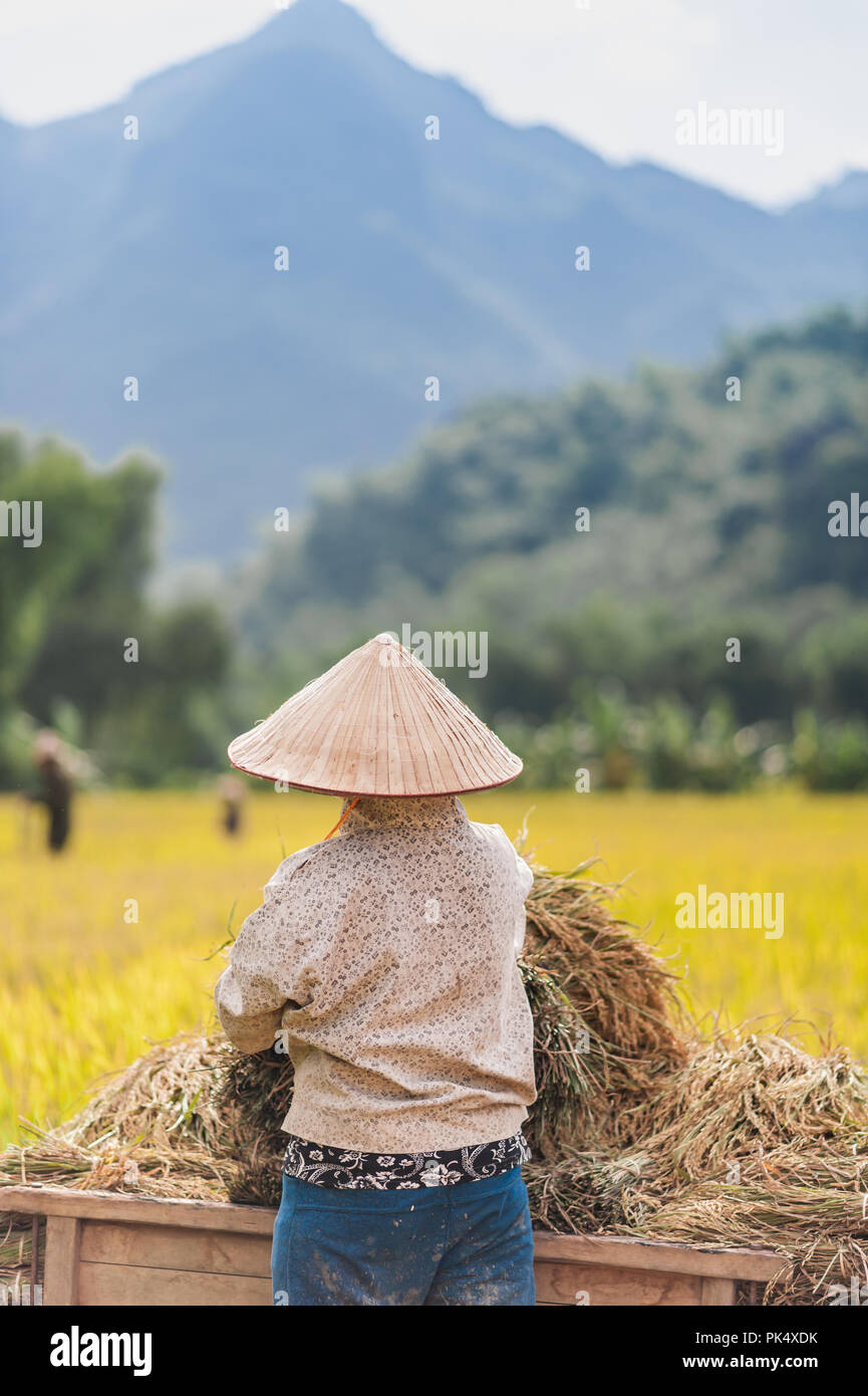 Mai chau vietnam hi-res stock photography and images - Alamy