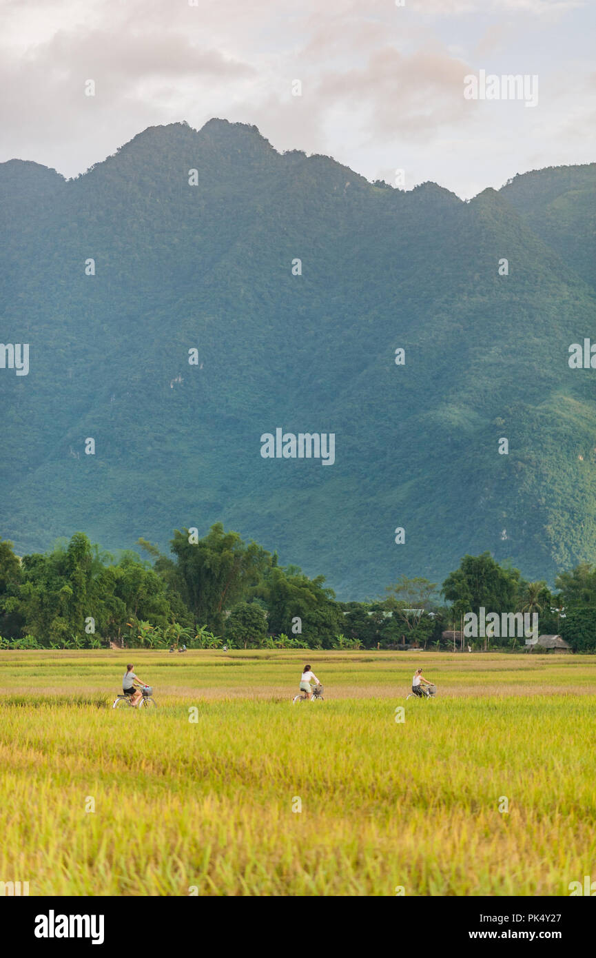 Mai chau field hi-res stock photography and images - Alamy