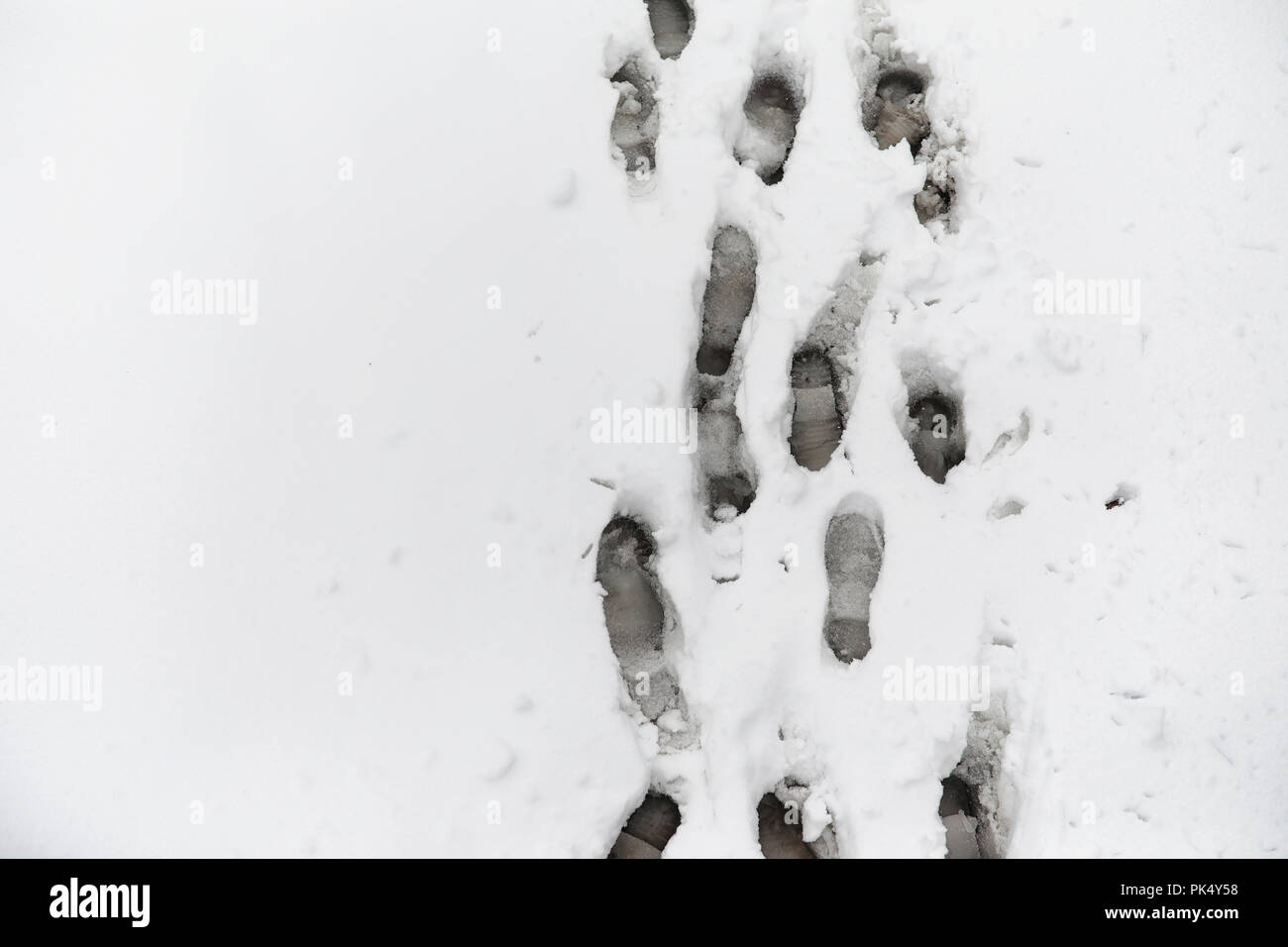 Footprints in the snow. Footprints on the first snow. Imprint of Stock ...