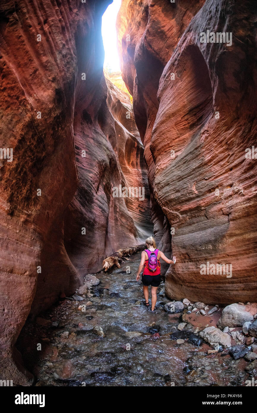 Woman hiking in Kanarra Creek Canyon, Kanarraville, Iron County, Utah ...