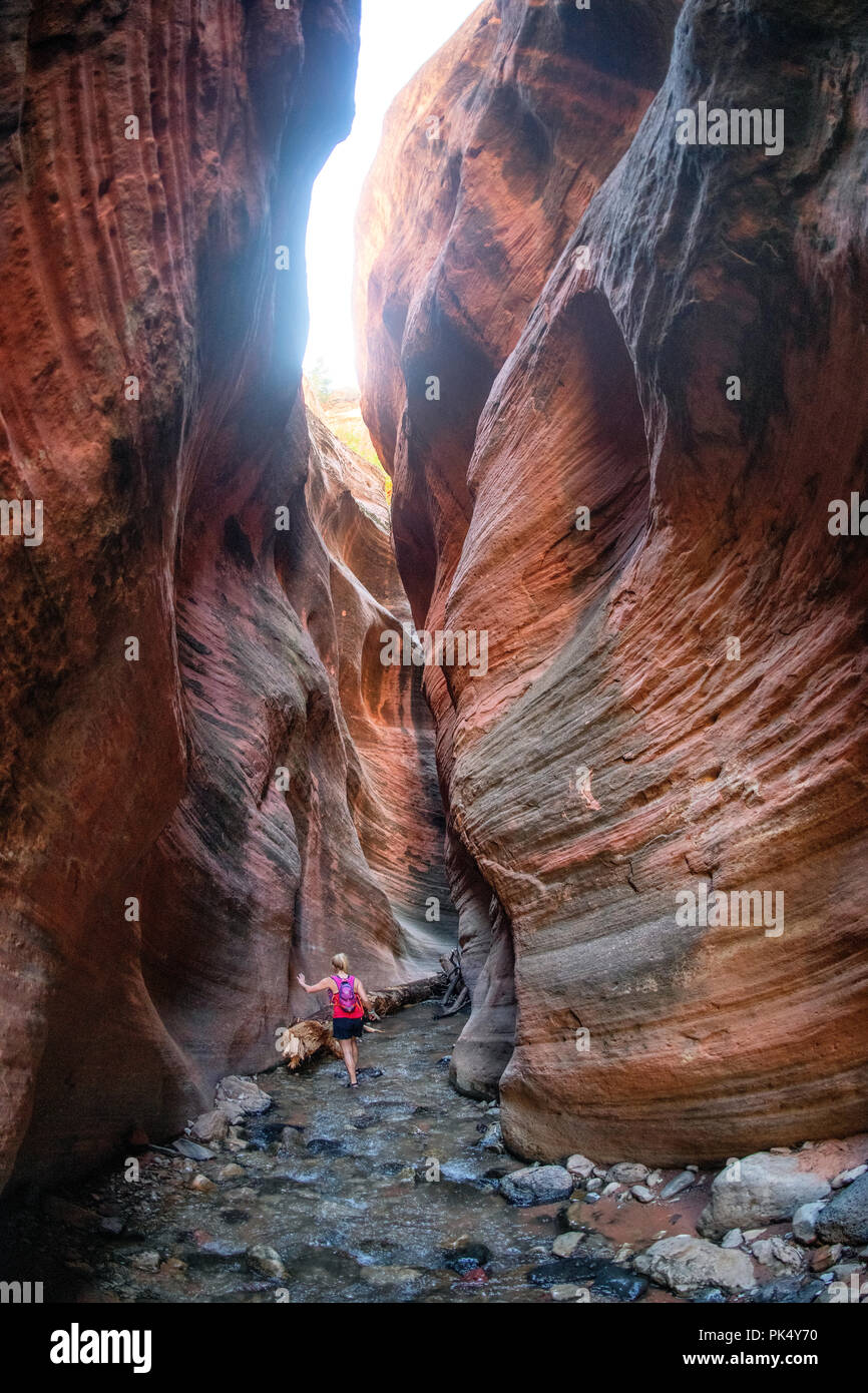 Woman hiking in Kanarra Creek Canyon, Kanarraville, Iron County, Utah ...
