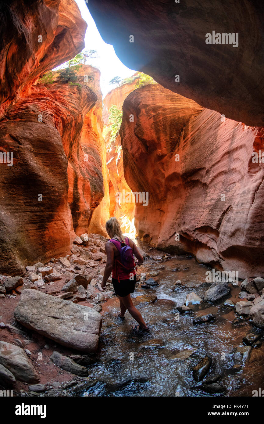 Woman hiking in Kanarra Creek Canyon, Kanarraville, Iron County, Utah ...