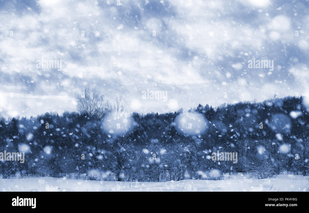 Landscape in the winter day Stock Photo - Alamy
