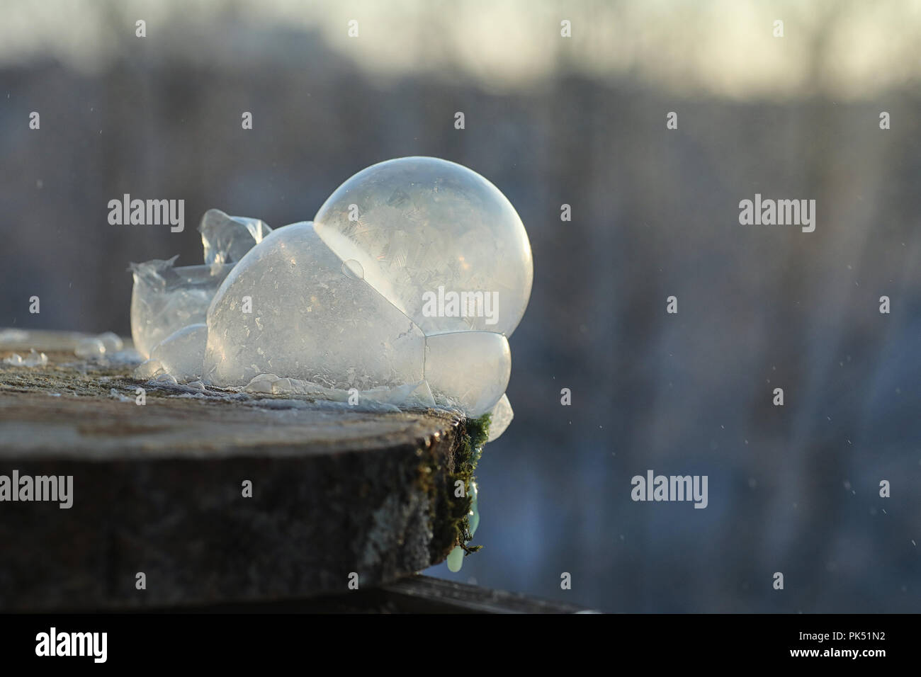 Soap bubbles freeze in the cold. Winter soapy water freezes in t Stock ...