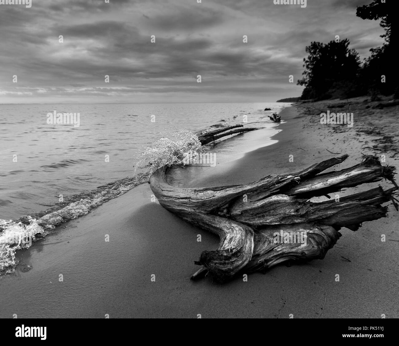 Driftwood beach cloudy sky beach hi-res stock photography and images ...