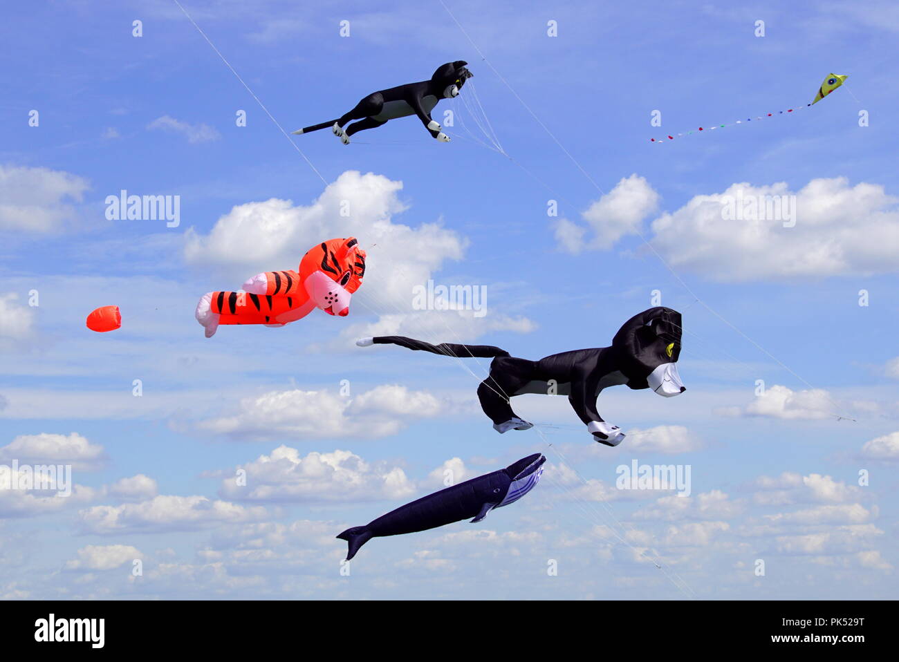 Flying tiger line air hi-res stock photography and images - Alamy