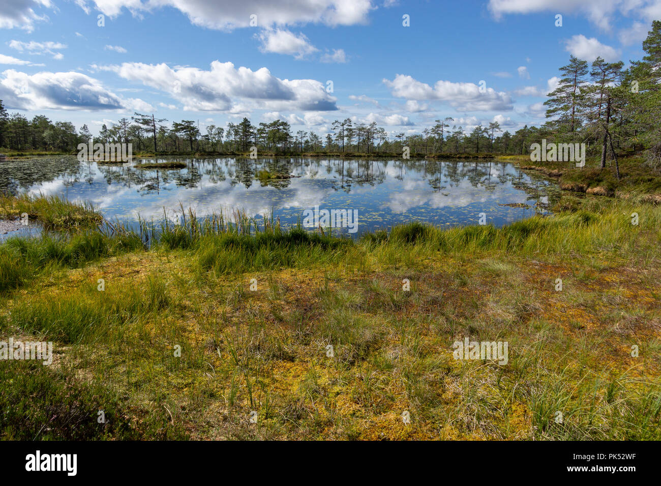 Pond reflecting clouds blue sky hi-res stock photography and images - Alamy
