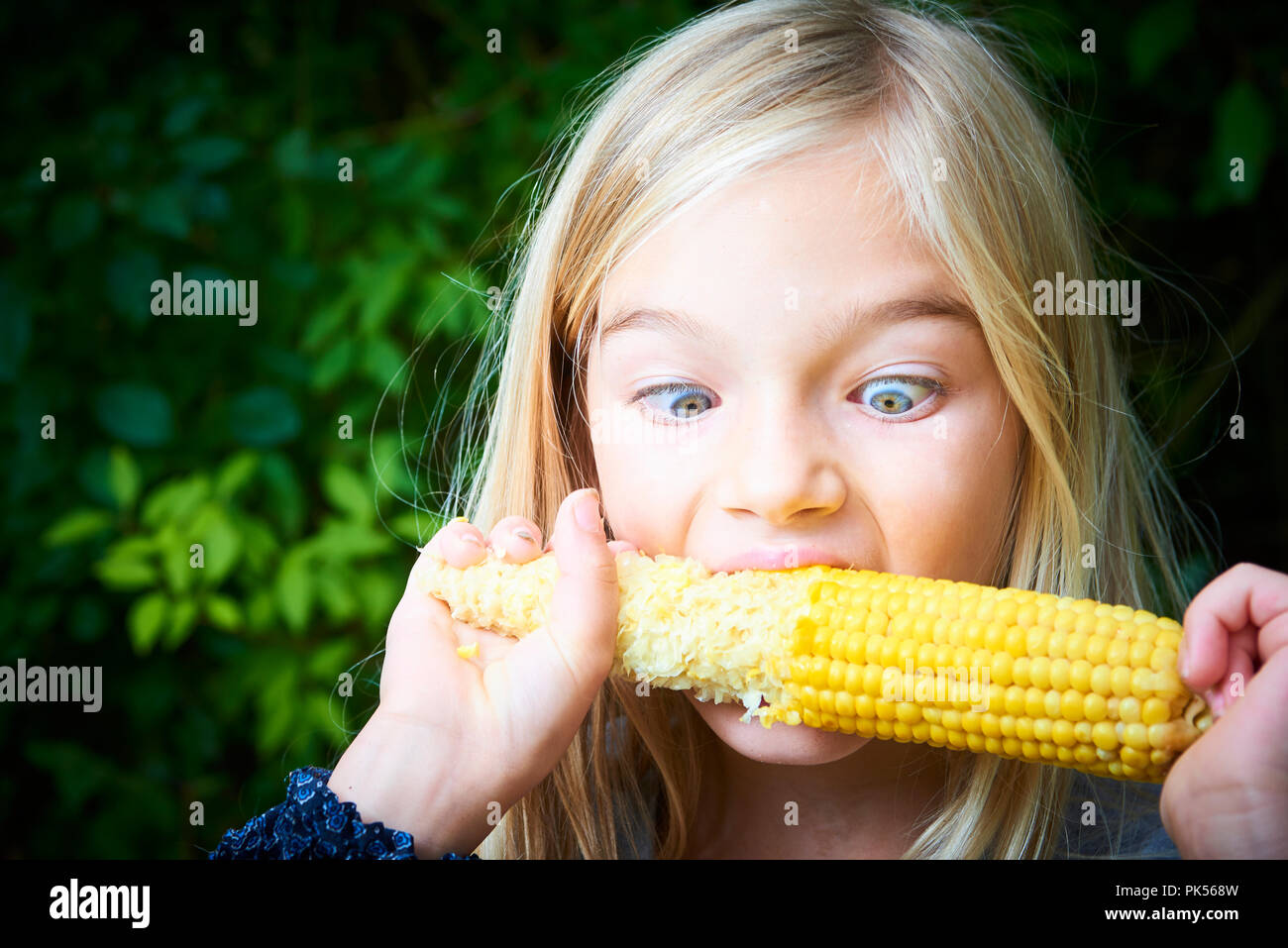 Eat corn cob hi-res stock photography and images - Alamy