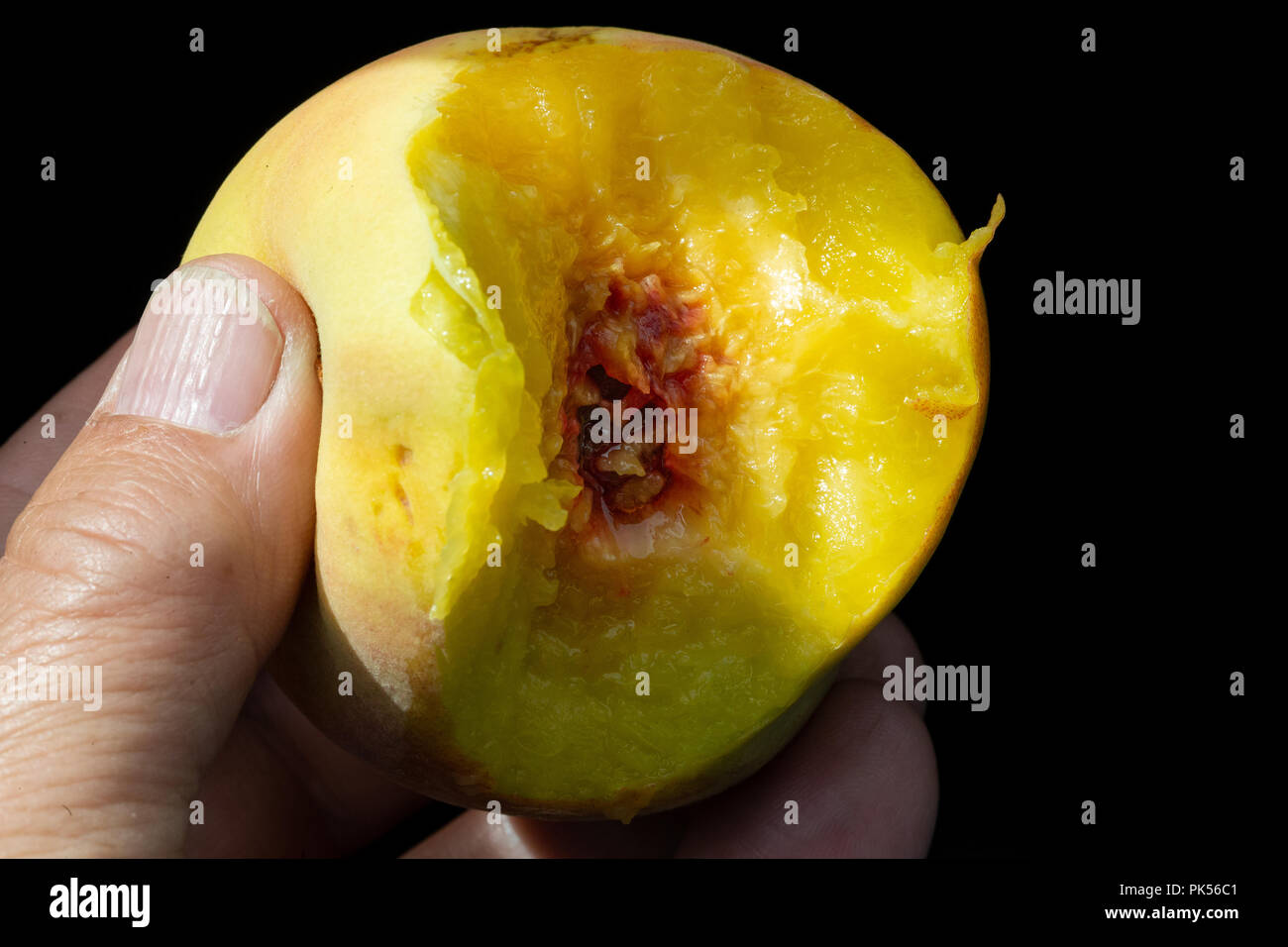 Hairy peach hi-res stock photography and images - Alamy