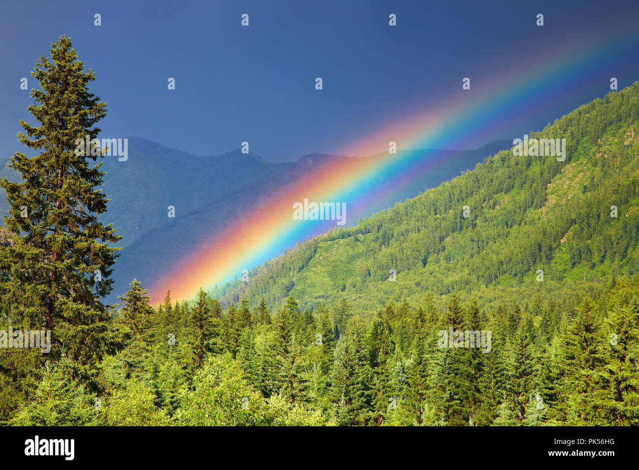 Rainbow over forest at sunset Stock Photo - Alamy