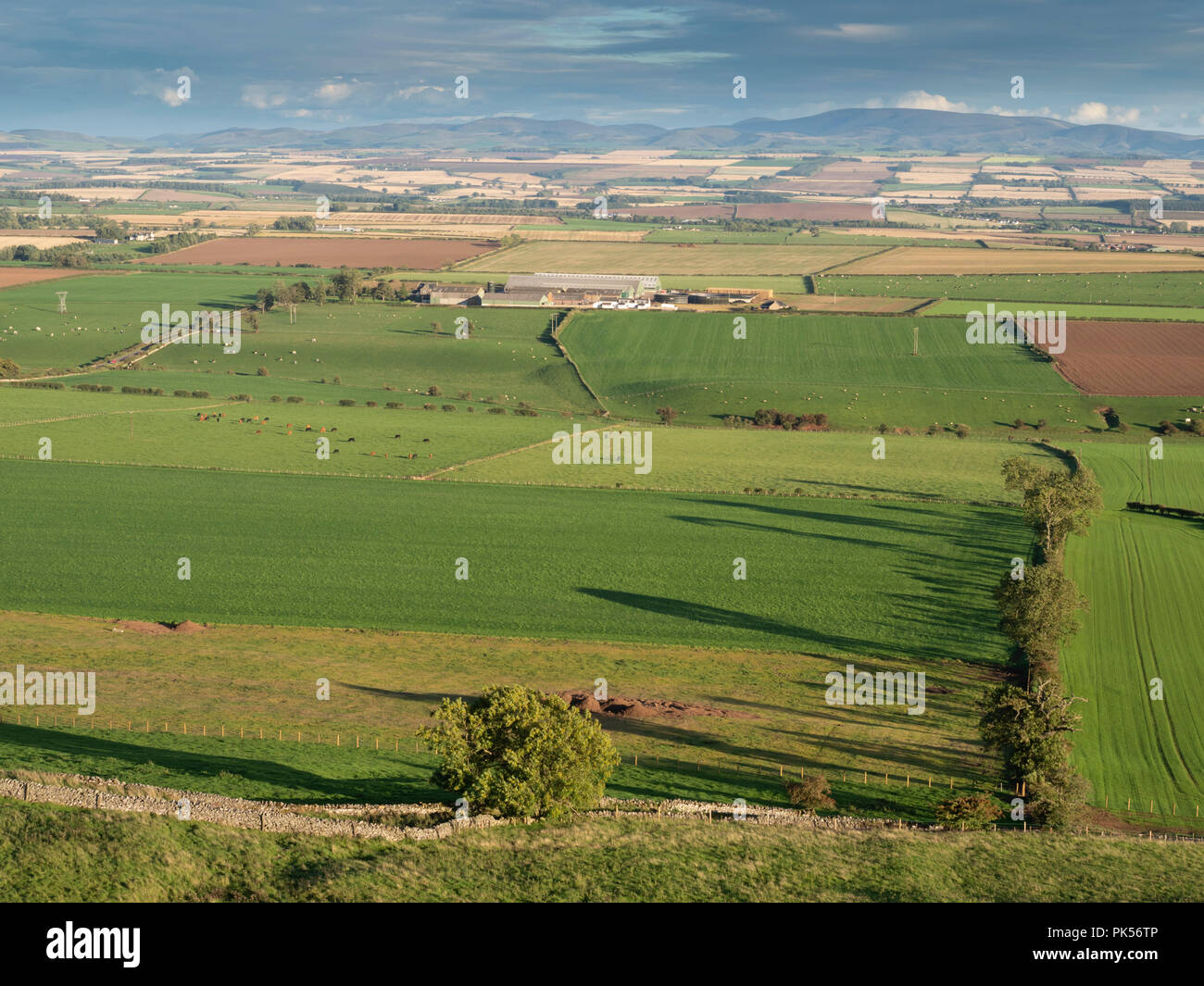 Looking from Hume Castle in Berwicvkshire, southwards across rich farm ...