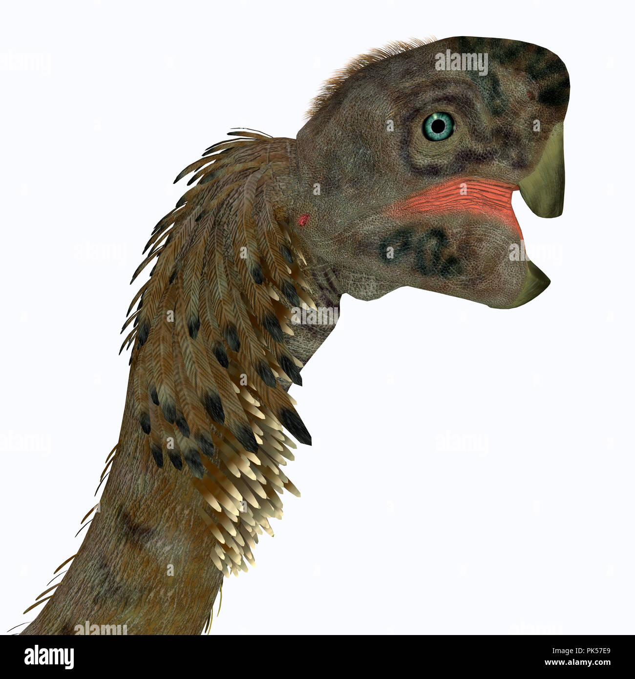 Feathered dinosaur hi-res stock photography and images - Alamy